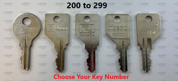 Pundra Wesko 200 to 299 Replacement Key | AcmeKey.ca USA & Canada ...